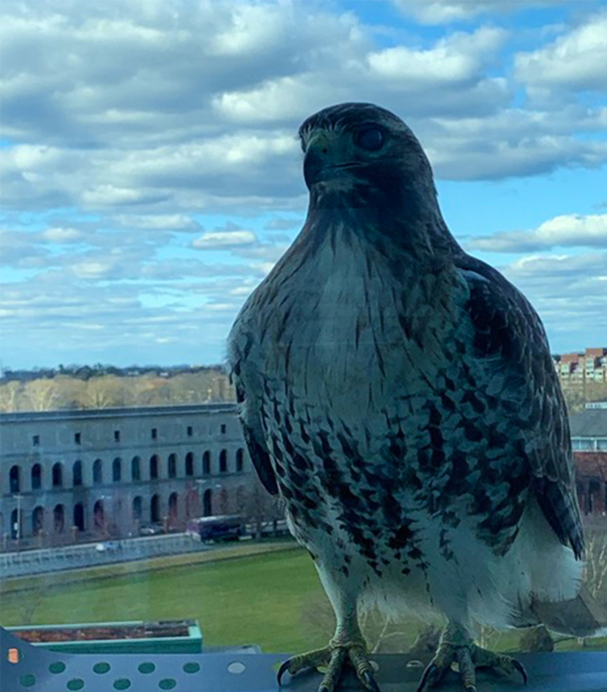 About Our Space - Kempner Institute