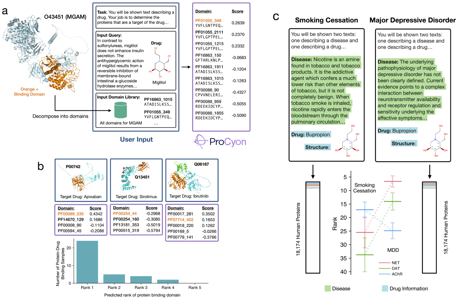 ProCyon: A Multimodal Foundation Model for Protein Phenotypes - Kempner ...
