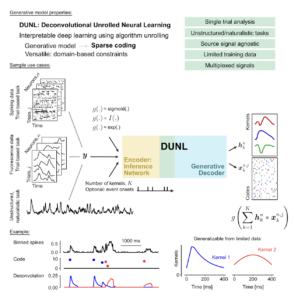 Mechanistic Interpretability: A Challenge Common to Both Artificial and ...