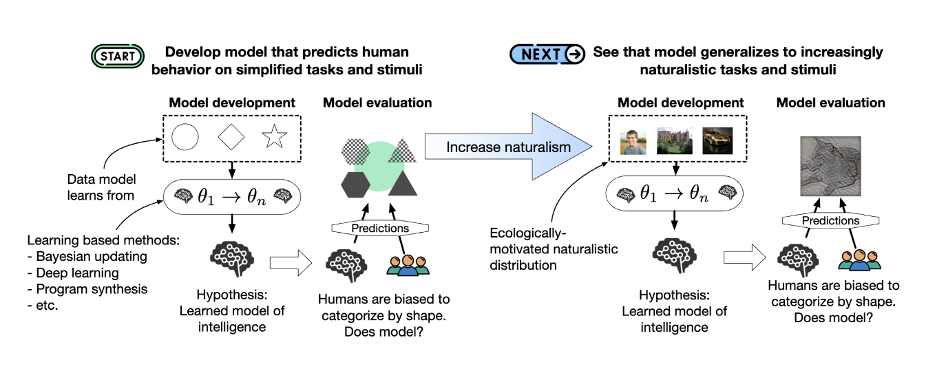 Leveraging Modern AI to Catalyze a New Era in Naturalistic Computational Cognitive Science ...
